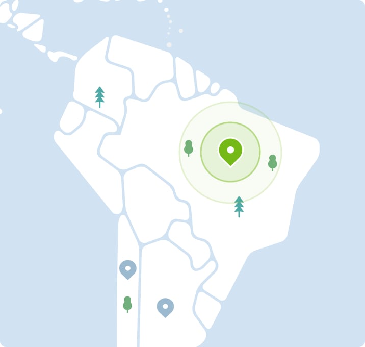 How to get a Brazil IP Address with a VPN | NordVPN